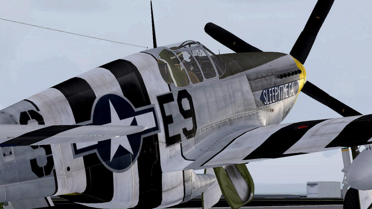 P-51 Mustang Fighter Leader for FSX by Warbirdsim