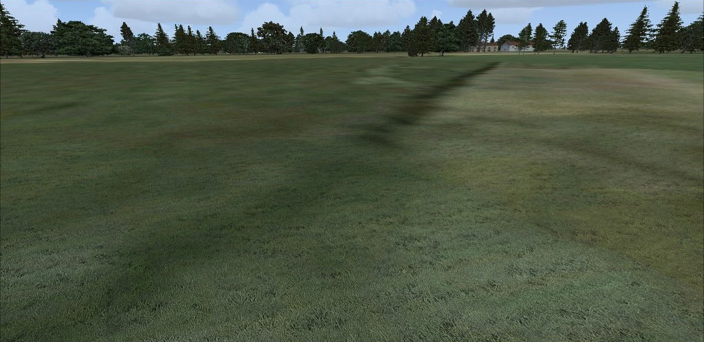 Ground Details for FSX by AeroFiles