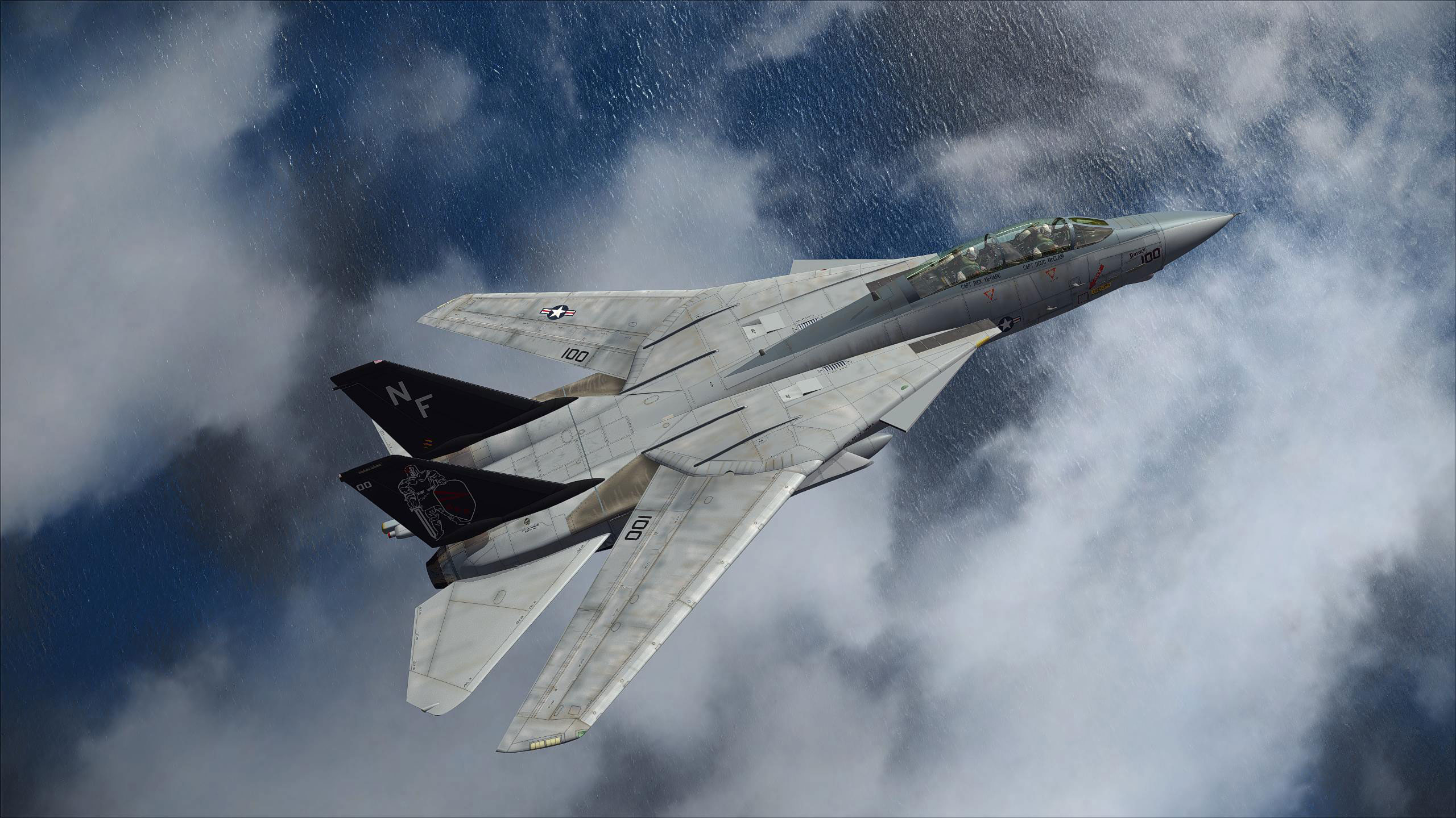 F-14 Extended for FSX/P3D by Aerosoft