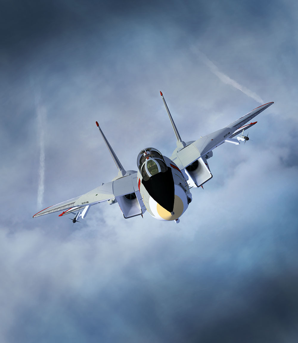 F-14 Extended for FSX/P3D by Aerosoft