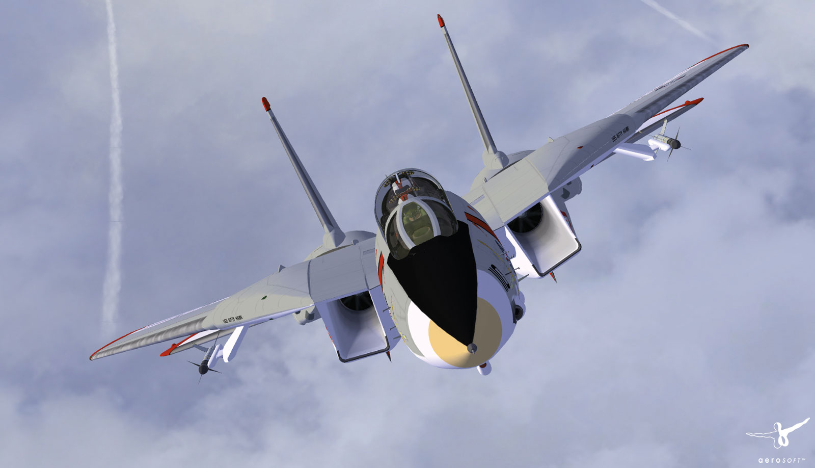 F-14 Extended for FSX/P3D by Aerosoft