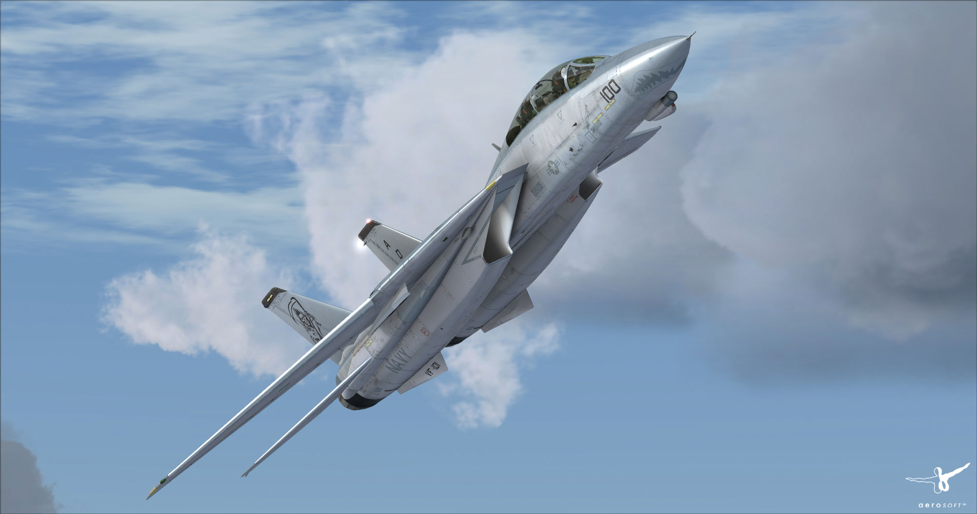 F-14 Extended for FSX/P3D by Aerosoft