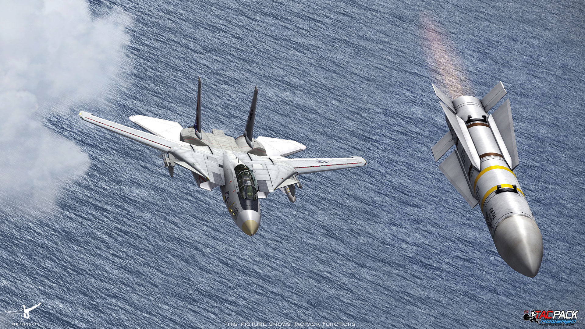 F-14 Extended for FSX/P3D by Aerosoft