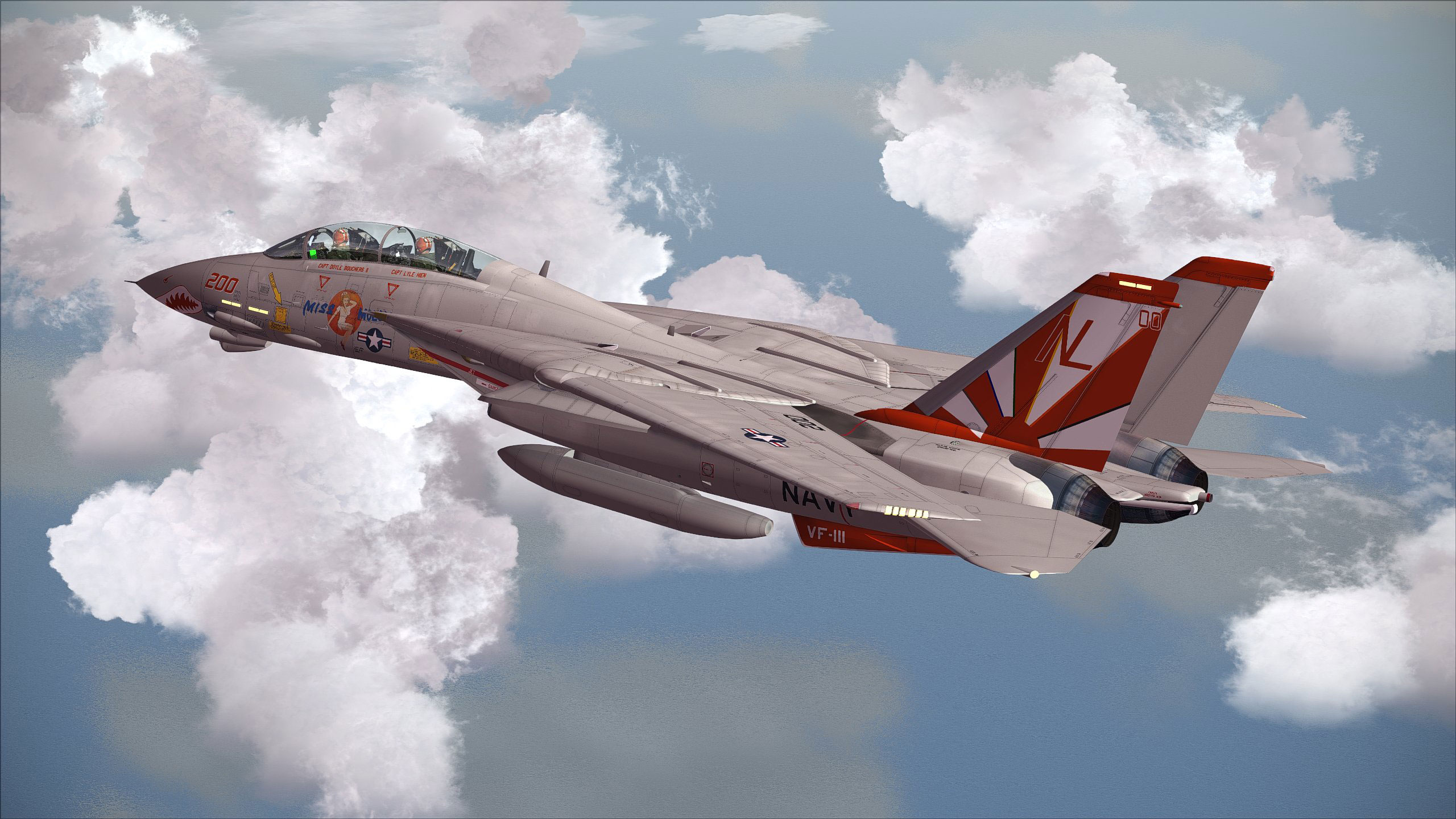 F-14 Extended for FSX/P3D by Aerosoft