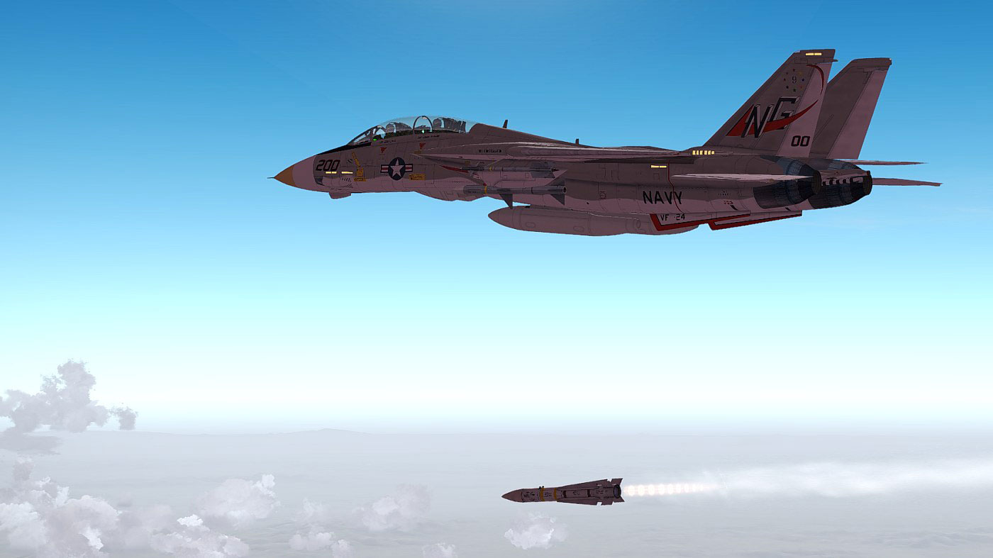 F-14 Extended for FSX/P3D by Aerosoft