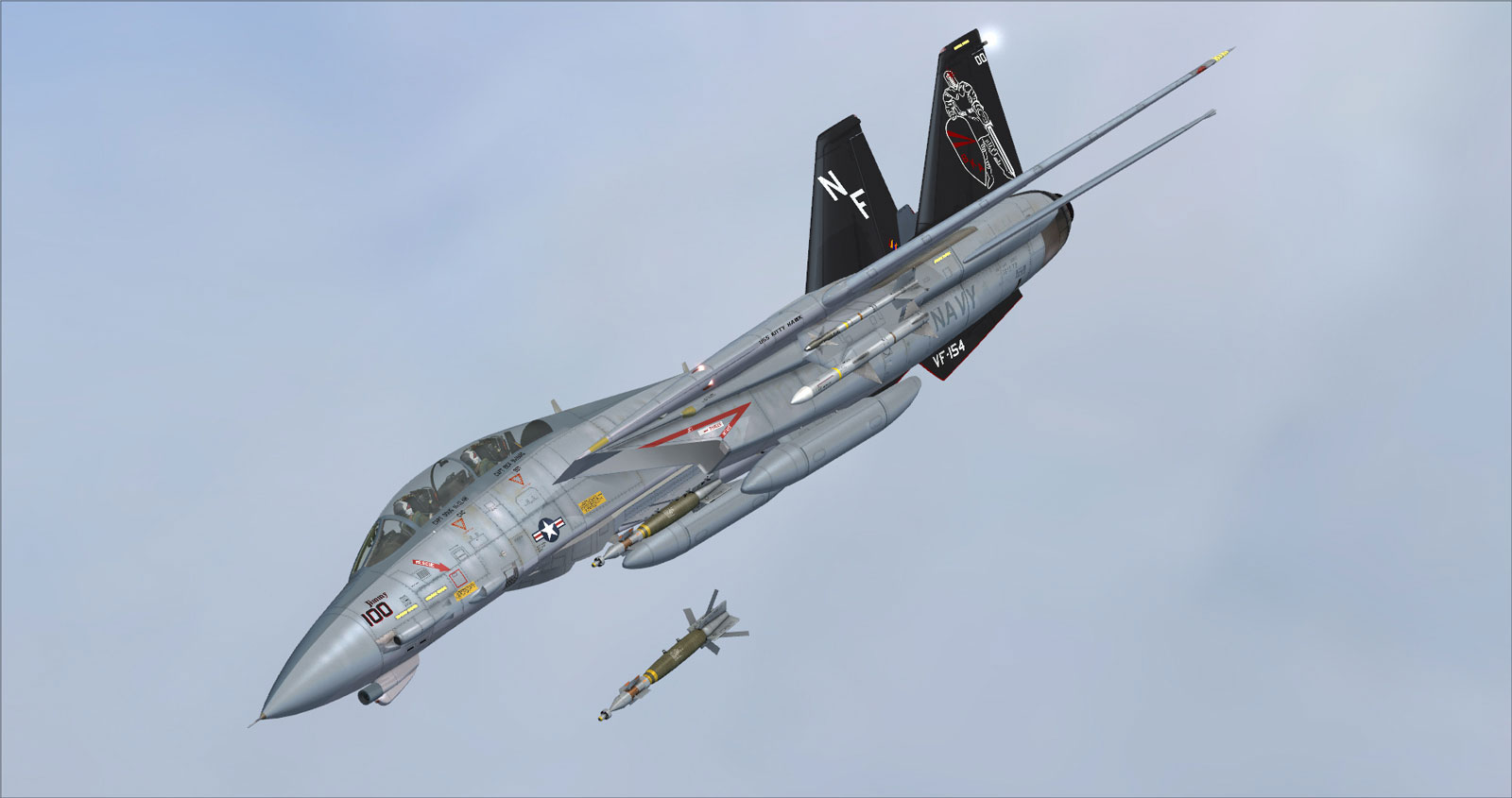 F-14 Extended for FSX/P3D by Aerosoft