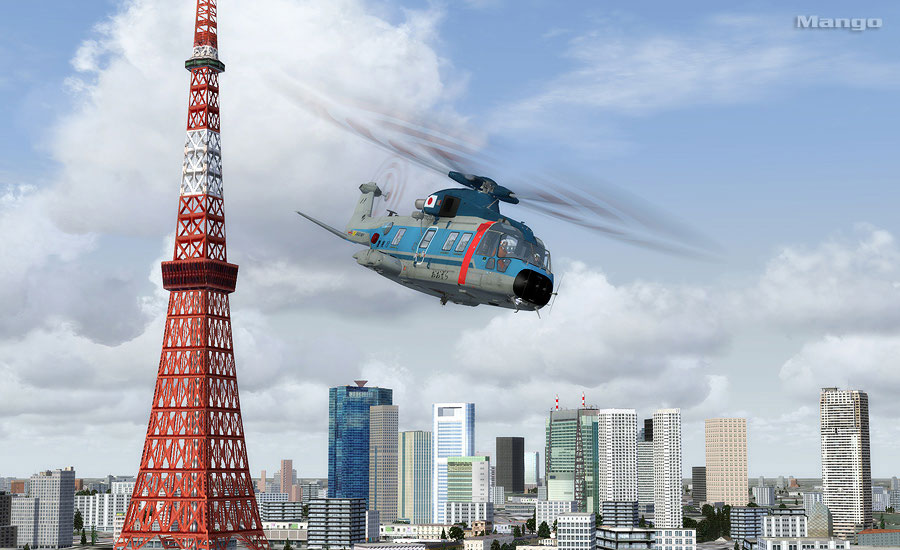 Microsoft Flight Simulator X: Steam Edition by Microsoft