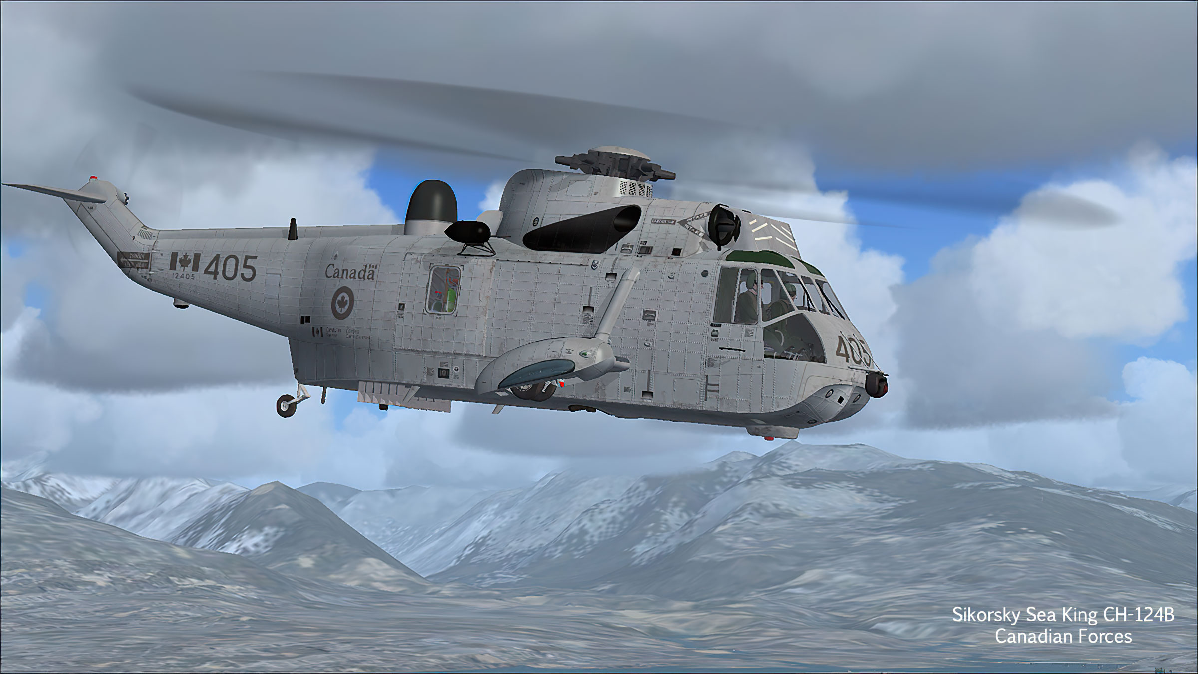 Westland/Sikorsky Sea King for FSX by Virtavia