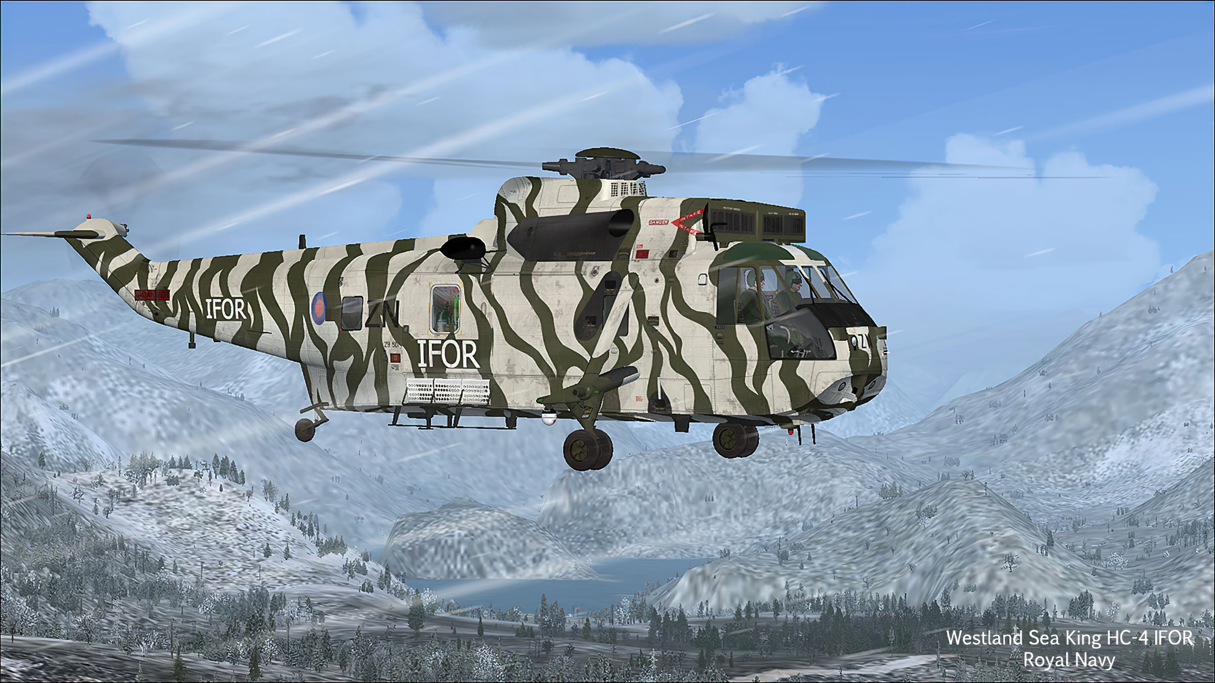 Westland/Sikorsky Sea King for FSX by Virtavia