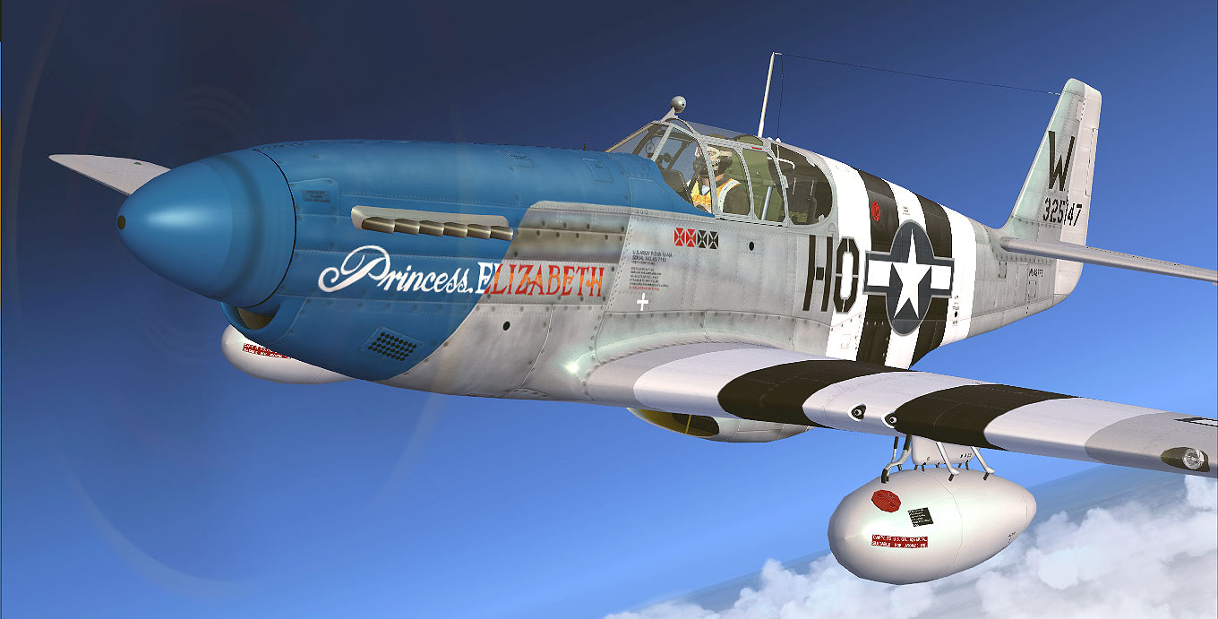 P-51 Mustang Fighter Leader for FSX by Warbirdsim